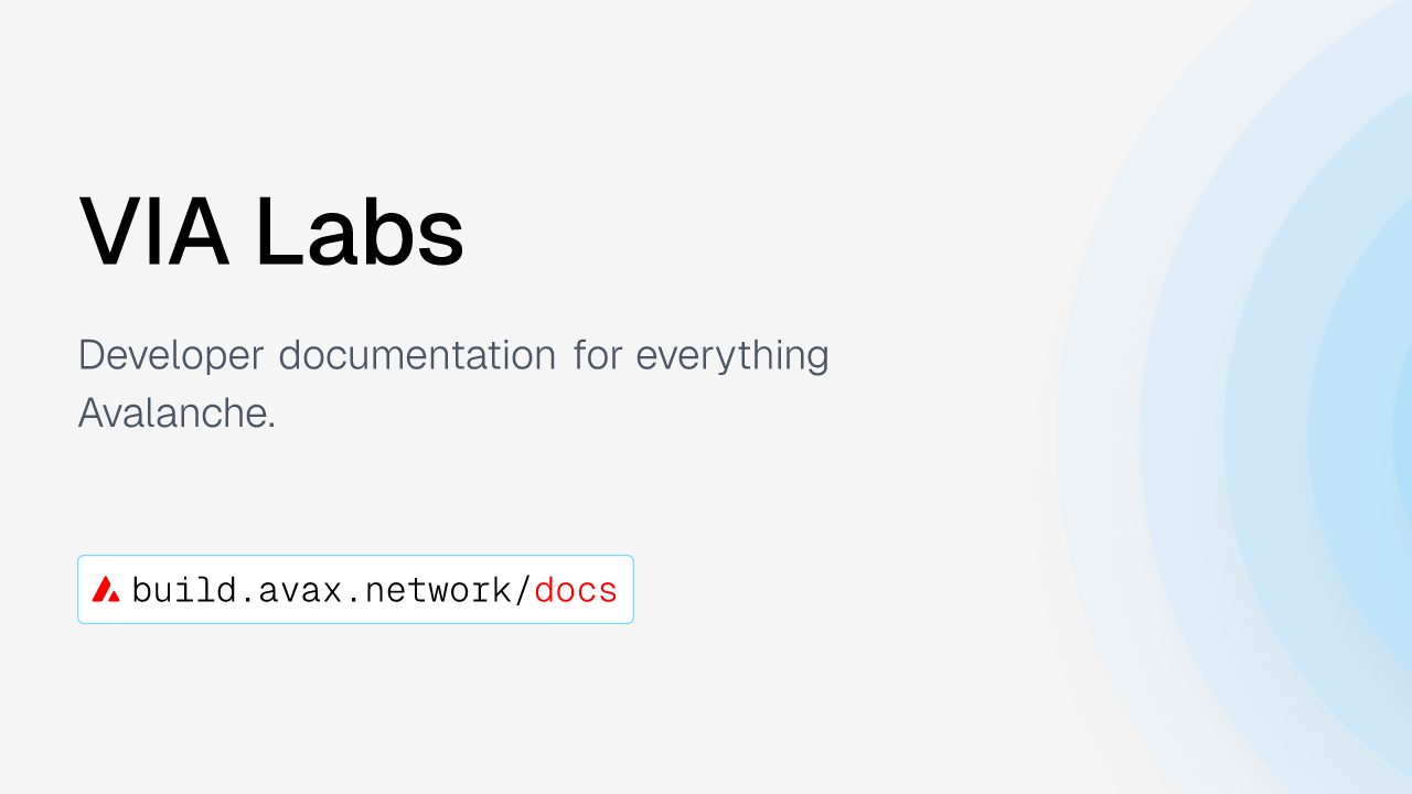 VIA Labs | Avalanche Builder Hub